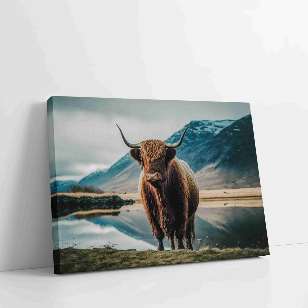 Highland Cow Canvas Print - Rustic Home Decor Canvas Art Prints Canada ...