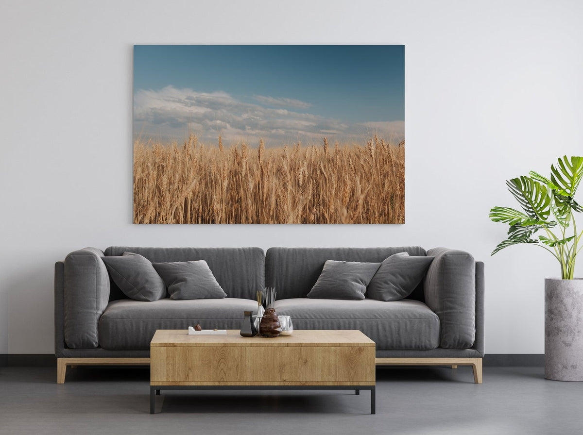 Prairie Wheat Field Canvas Print - Wheat Print Canvas Wall Art Canada ...