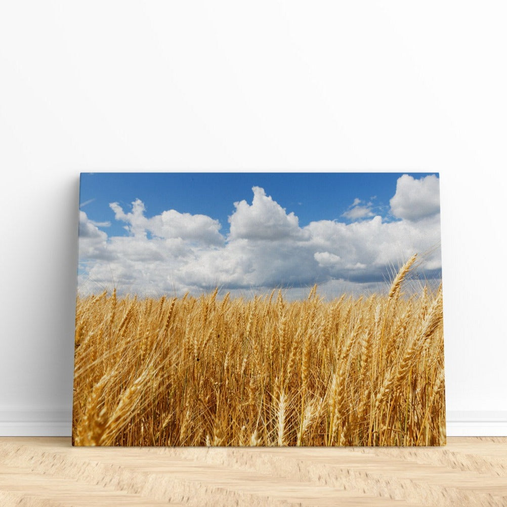 Wheat Field Canvas Print - Wheat Canvas Art Prints Canada, Wheat Art ...